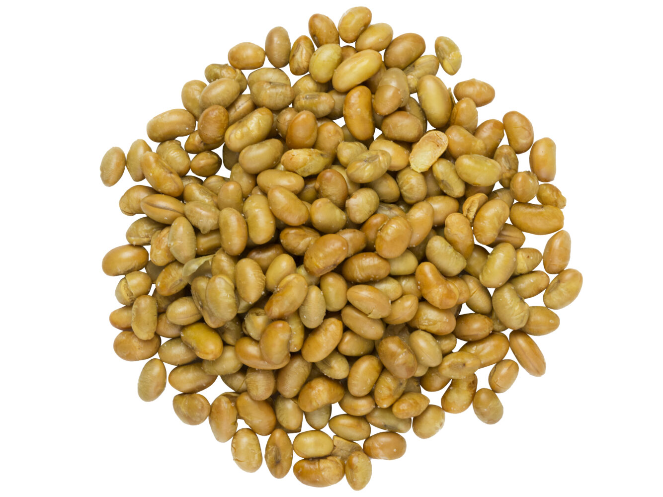 Organic Roasted and Salted Soynuts - SunRidge Farms