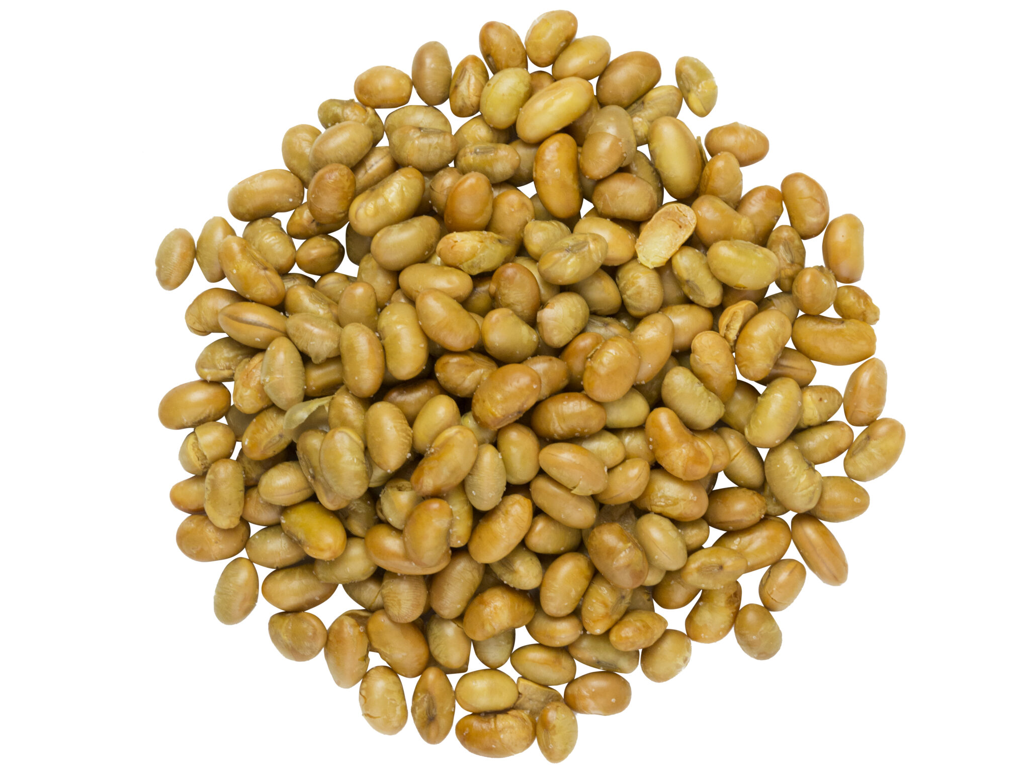 Organic Roasted and Salted Soynuts - SunRidge Farms