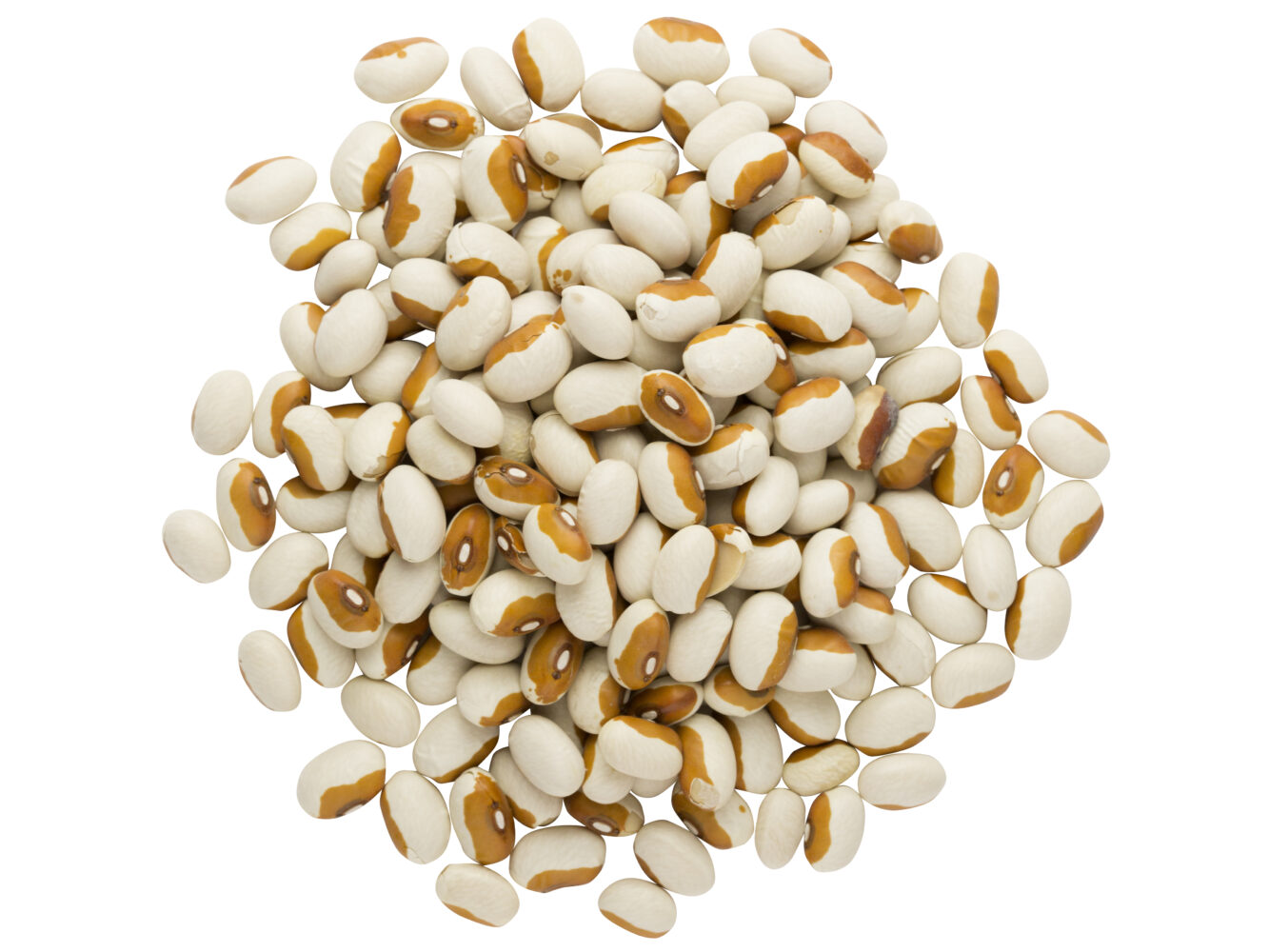 Organic Yellow Eye Heirloom Beans - SunRidge Farms