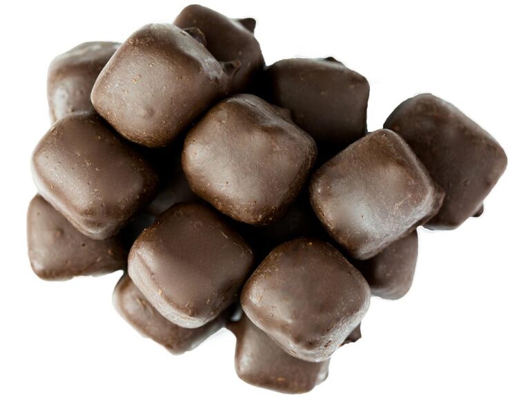 Organic Dark Chocolate Coconut Chews - SunRidge Farms