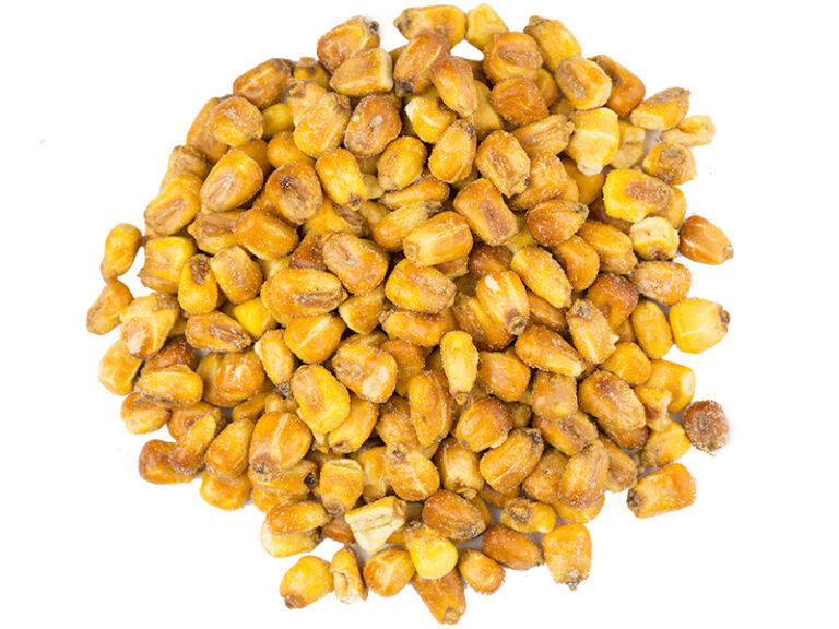 Jumbo Corn Nuggets, Roasted and Sea Salted - SunRidge Farms
