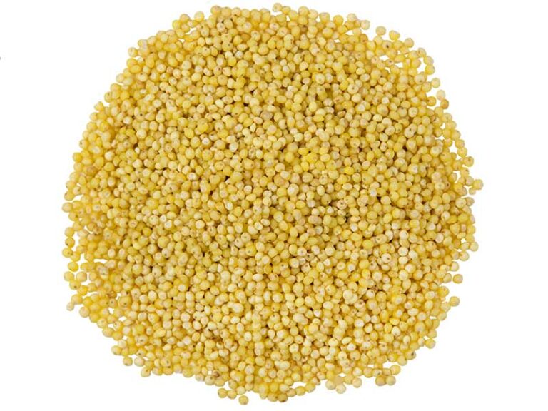 Organic Hulled Millet - SunRidge Farms