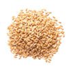 Organic Soft Wheat Berries - SunRidge Farms